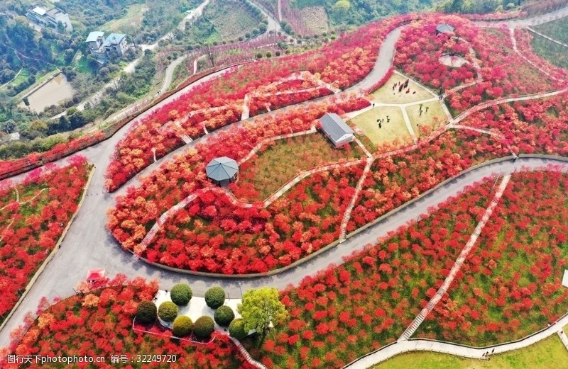 重庆巴南图片免费下载_重庆巴南素材_重庆巴南模板-图行天下素材网